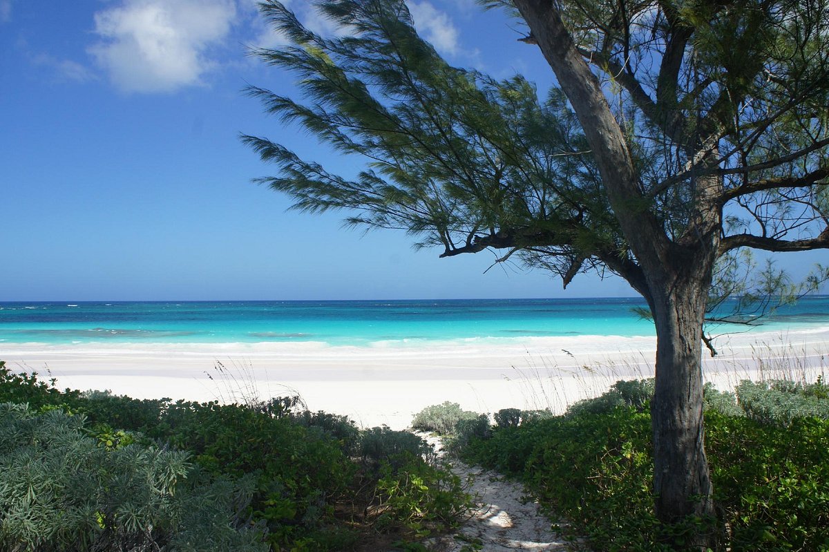 French Leave Beach | Official Eleuthera Harbour Island